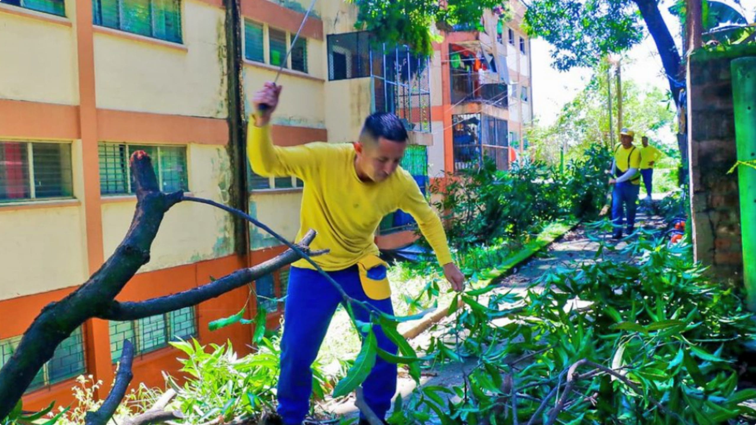 Internos del Plan Cero Ocio realizan trabajos de mitigación para ...